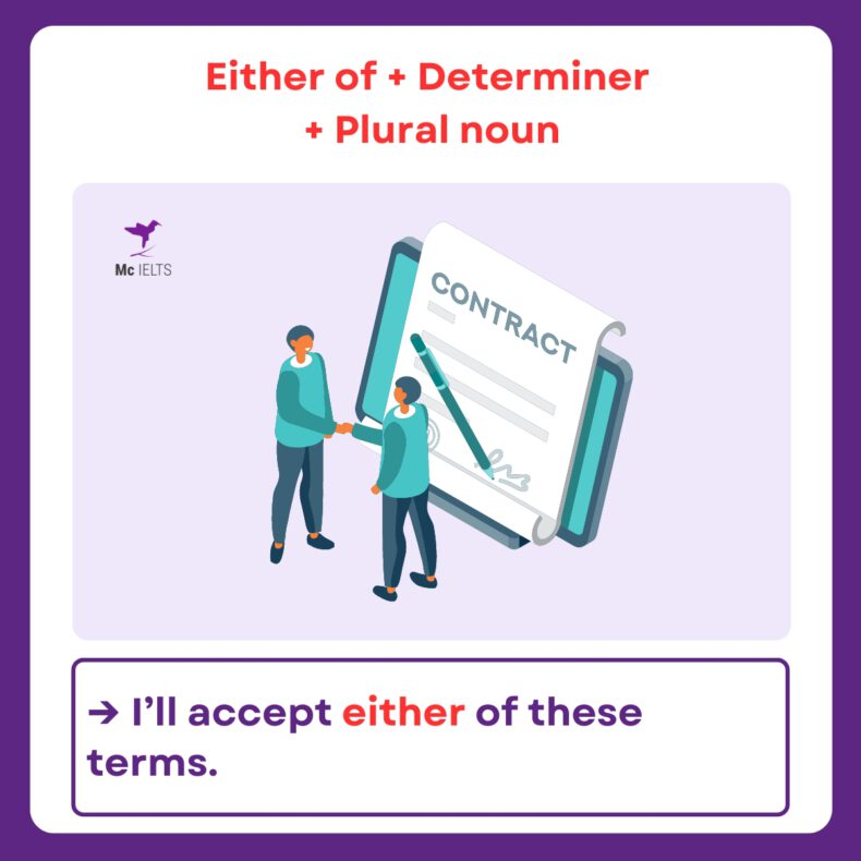 Phân Biệt Either Và Neither - Cách Sử Dụng Và Bài Tập Áp Dụng