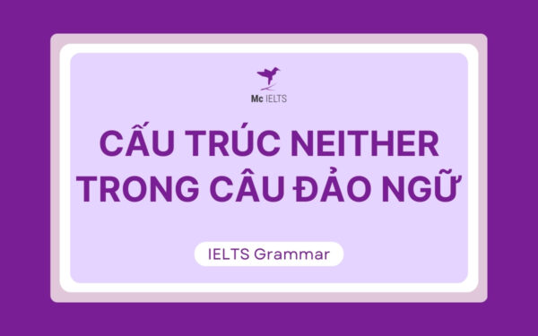 Phân Biệt Either Và Neither - Cách Sử Dụng Và Bài Tập Áp Dụng