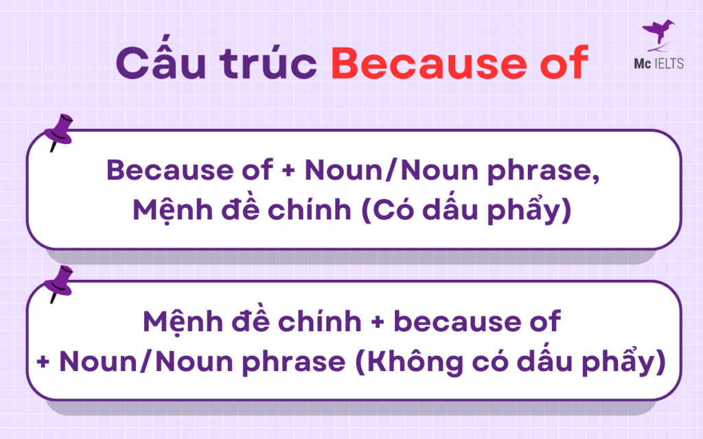 Cấu Trúc BECAUSE OF, BECAUSE: Cách Dùng, Bài Tập Cụ Thể
