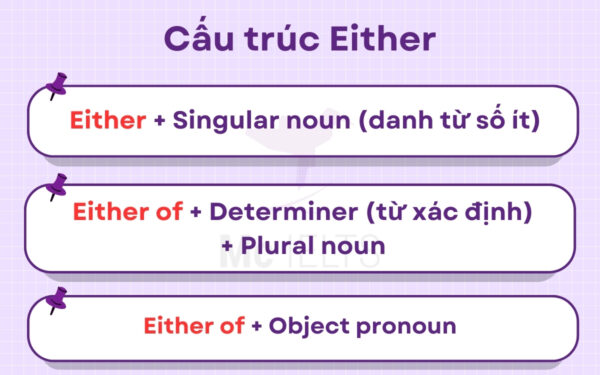 Phân Biệt Either Và Neither - Cách Sử Dụng Và Bài Tập Áp Dụng