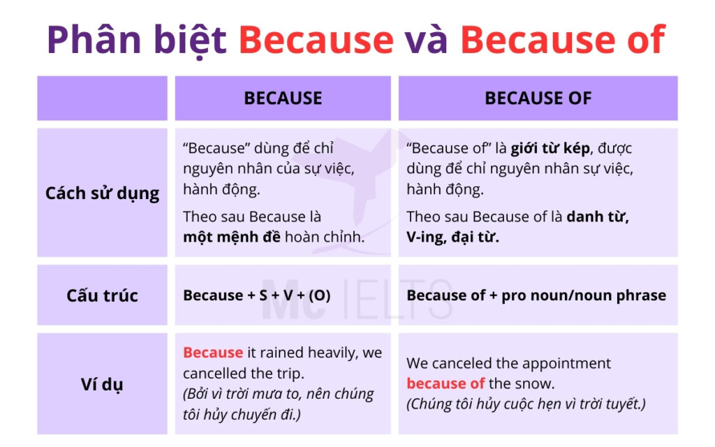 Cấu Trúc BECAUSE OF, BECAUSE: Cách Dùng, Bài Tập Cụ Thể