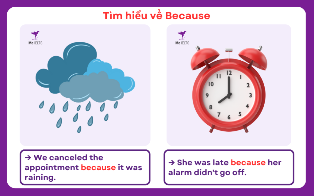 Cấu Trúc BECAUSE OF, BECAUSE: Cách Dùng, Bài Tập Cụ Thể