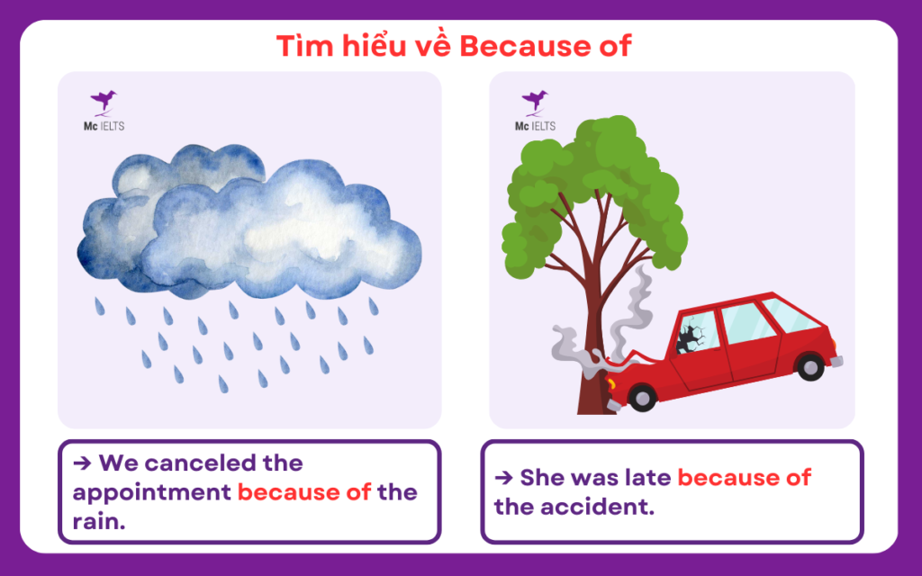 Cấu Trúc BECAUSE OF, BECAUSE: Cách Dùng, Bài Tập Cụ Thể