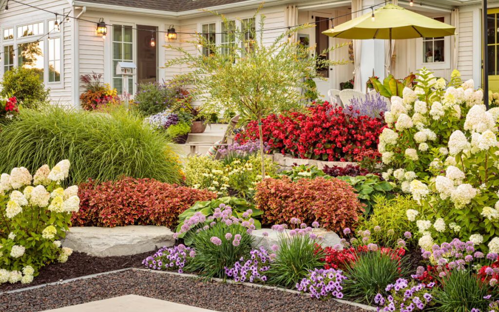 IELTS Speaking Part 1,2,3: Plants & Gardening - Sample Answer