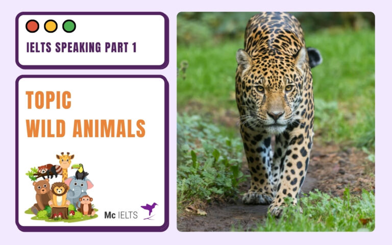 Bài Mẫu IELTS Speaking Part 1 Topic Wild Animals (Kèm Từ Vựng)