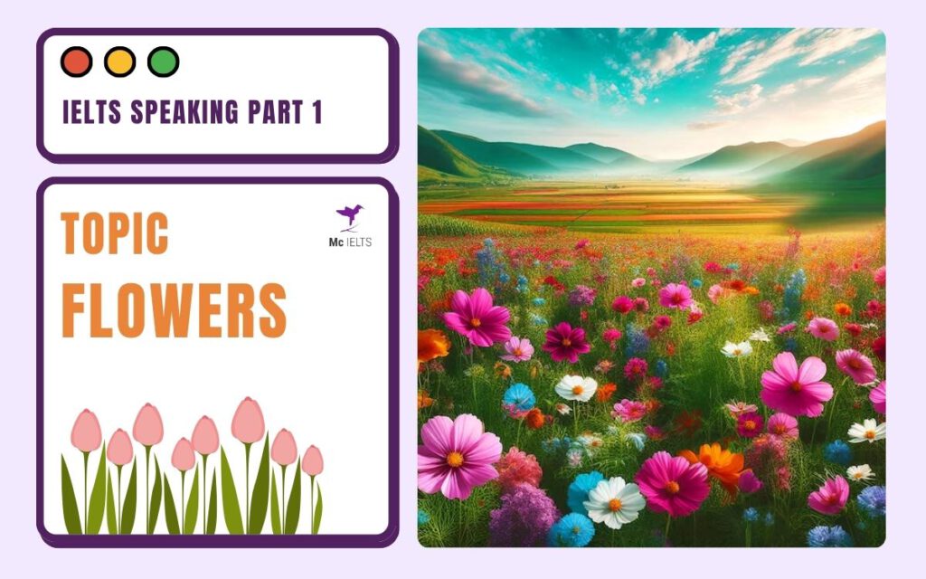 Bài Mẫu IELTS Speaking Part 1 - Topic: Flowers (Kèm Từ Vựng)
