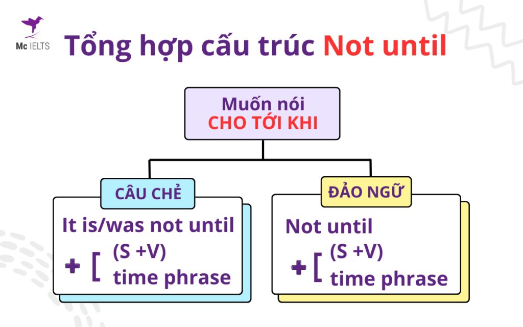 Cấu Trúc Not Until: Ý Nghĩa, Cách Dùng Và Bài Tập Đảo Ngữ
